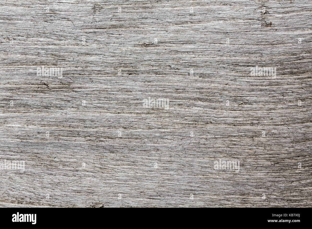 Grey pine wood texture series. High-detailed Stock Photo - Alamy