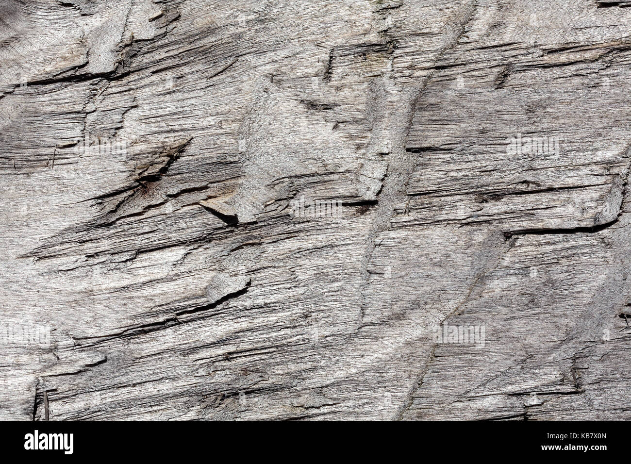 Detailed wood pattern hi-res stock photography and images - Alamy