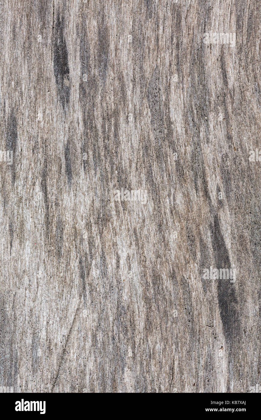 Grey pine wood texture series. High-detailed Stock Photo - Alamy