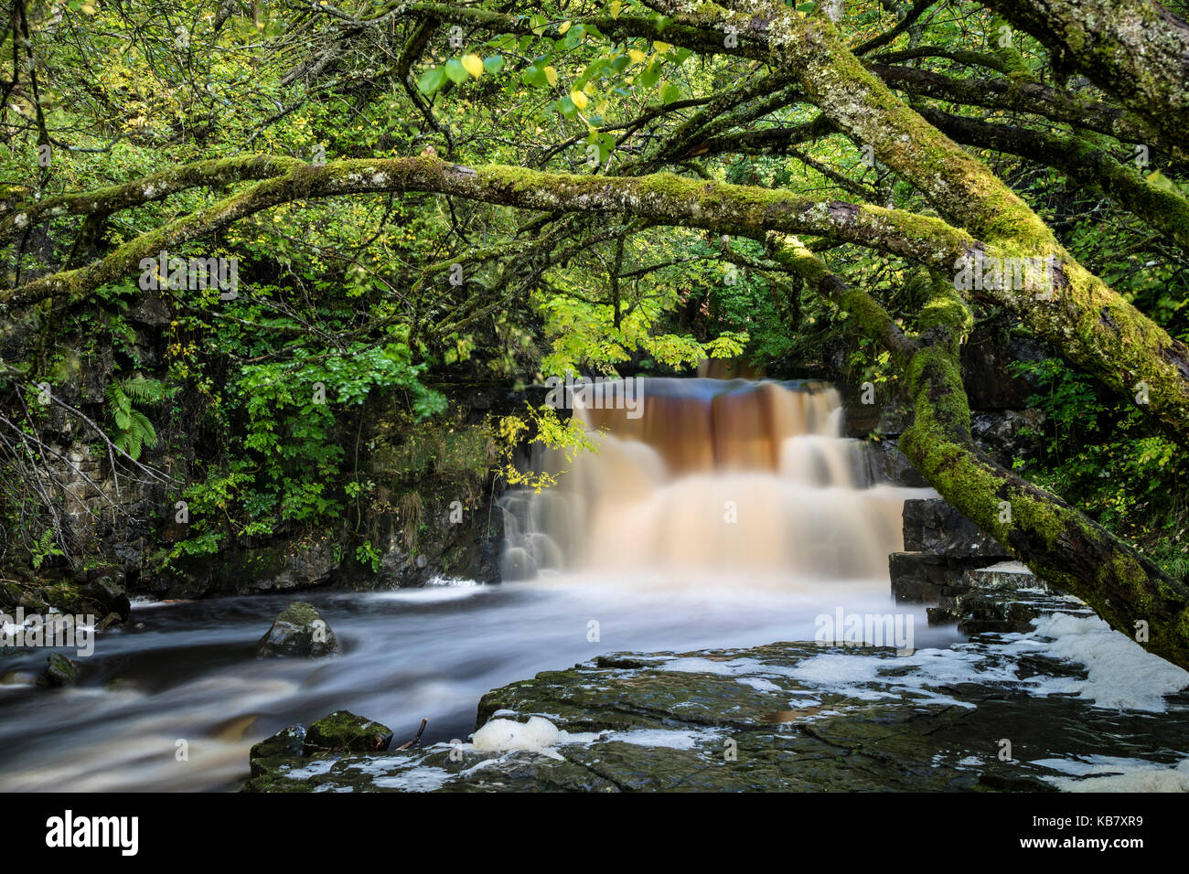 Bowlee Beck Lower Falls, Bowlees, Upper, Teesdale, County Durham, UK ...