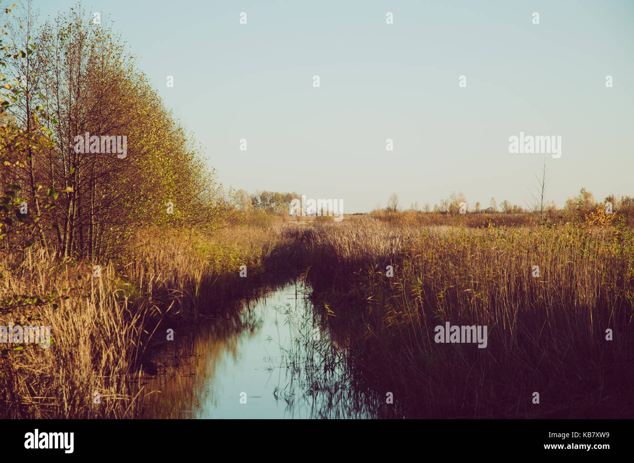 Rural autumn landscape Stock Photo - Alamy