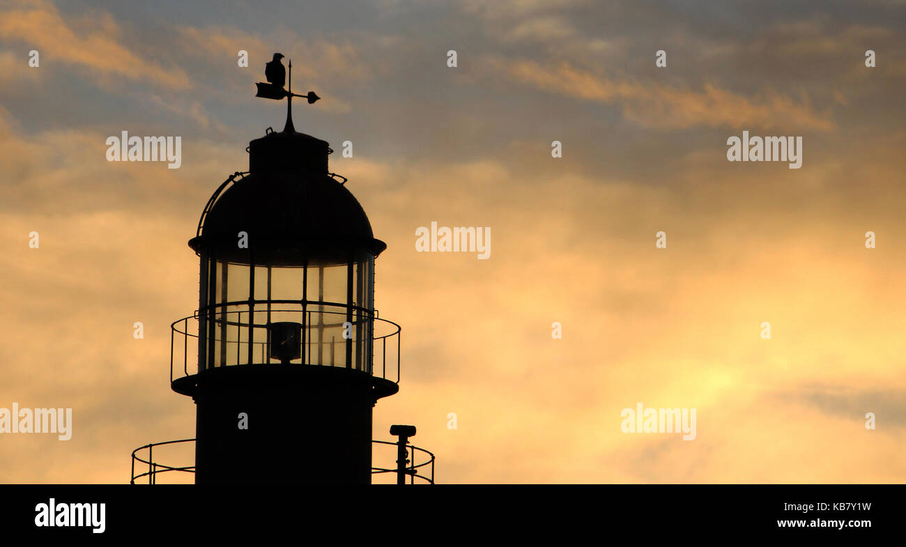 Eagle on a lighthouse Stock Photo - Alamy