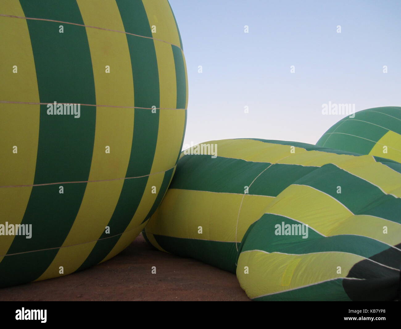 Wildlife balloon hi-res stock photography and images - Alamy