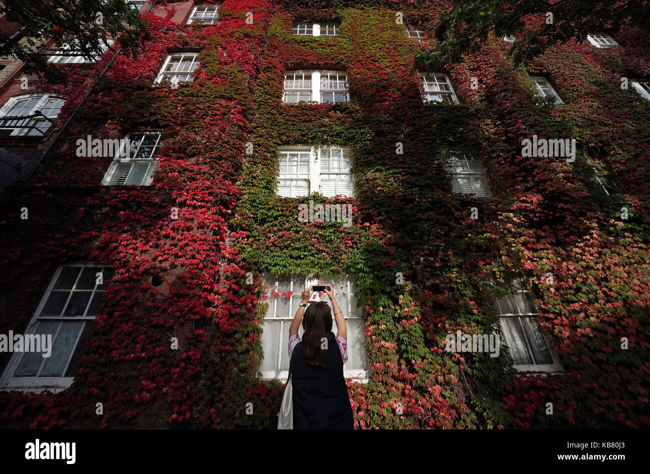 Woman takes photograph of an ivy clad building in islington hi-res ...