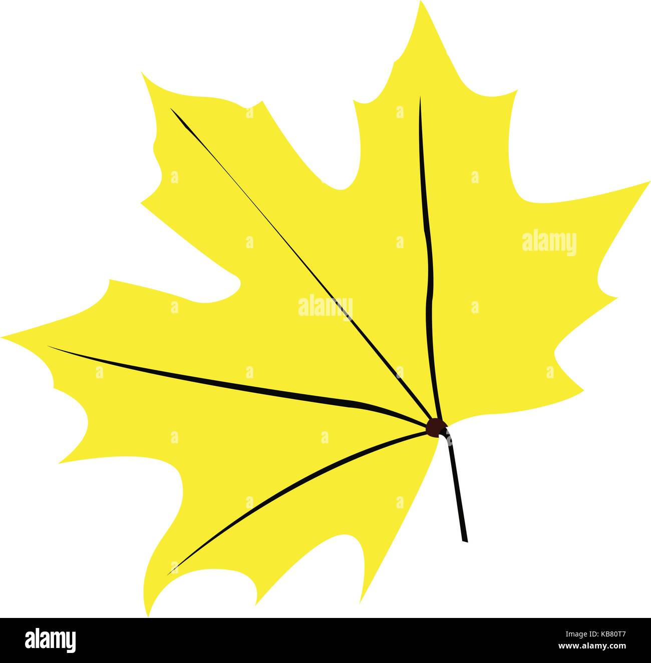 Isolated fall leaf Stock Vector Image & Art - Alamy