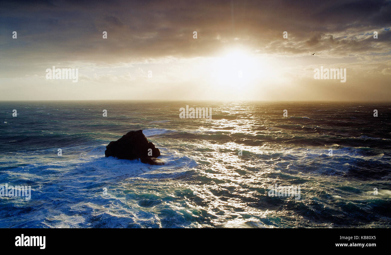 Gull Rock High Resolution Stock Photography and Images - Alamy