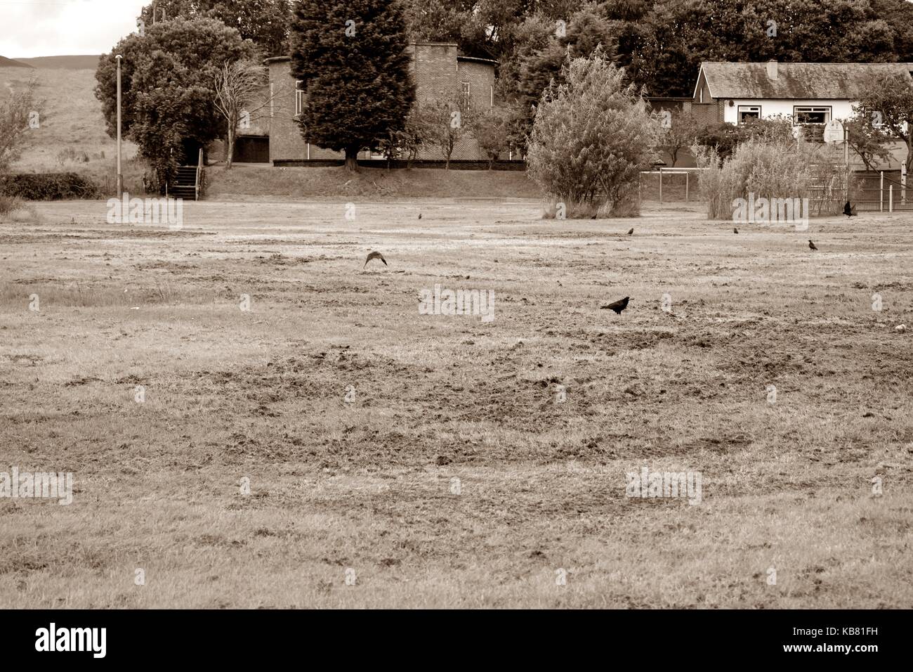 Wiliam Docherty I was walking around twechar. What is a small mining ...