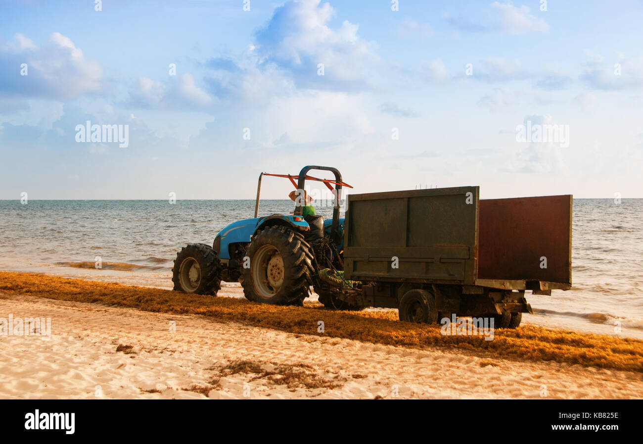 Tractor sand beach cleaner hi-res stock photography and images - Alamy