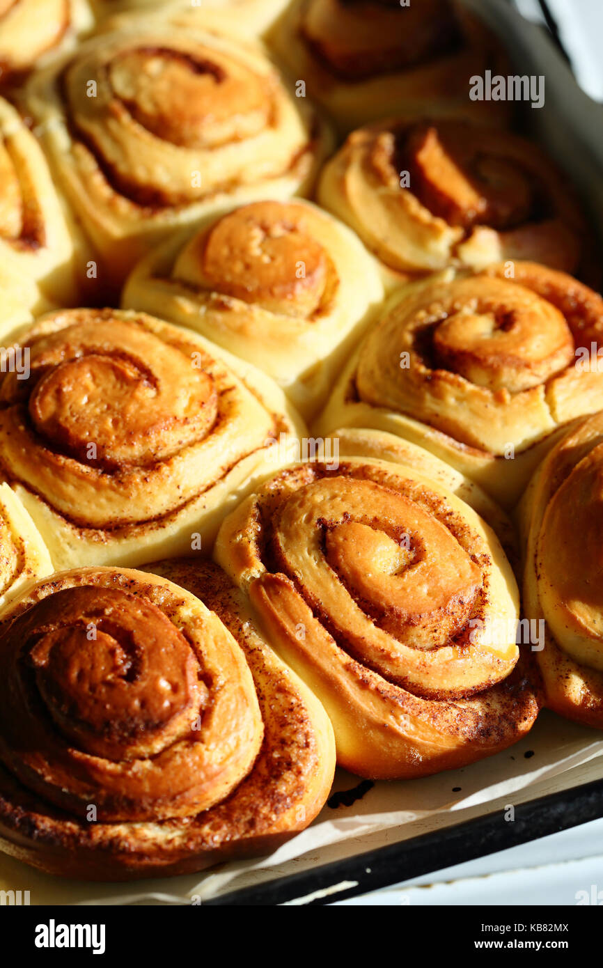 Rustic buns, food closeup Stock Photo - Alamy