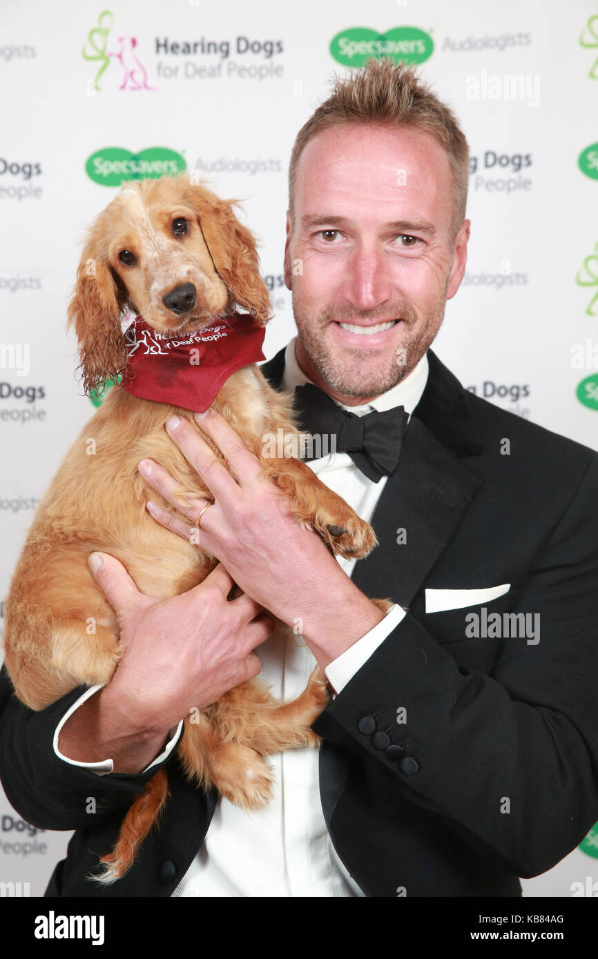 Charitydogs hi-res stock photography and images - Alamy