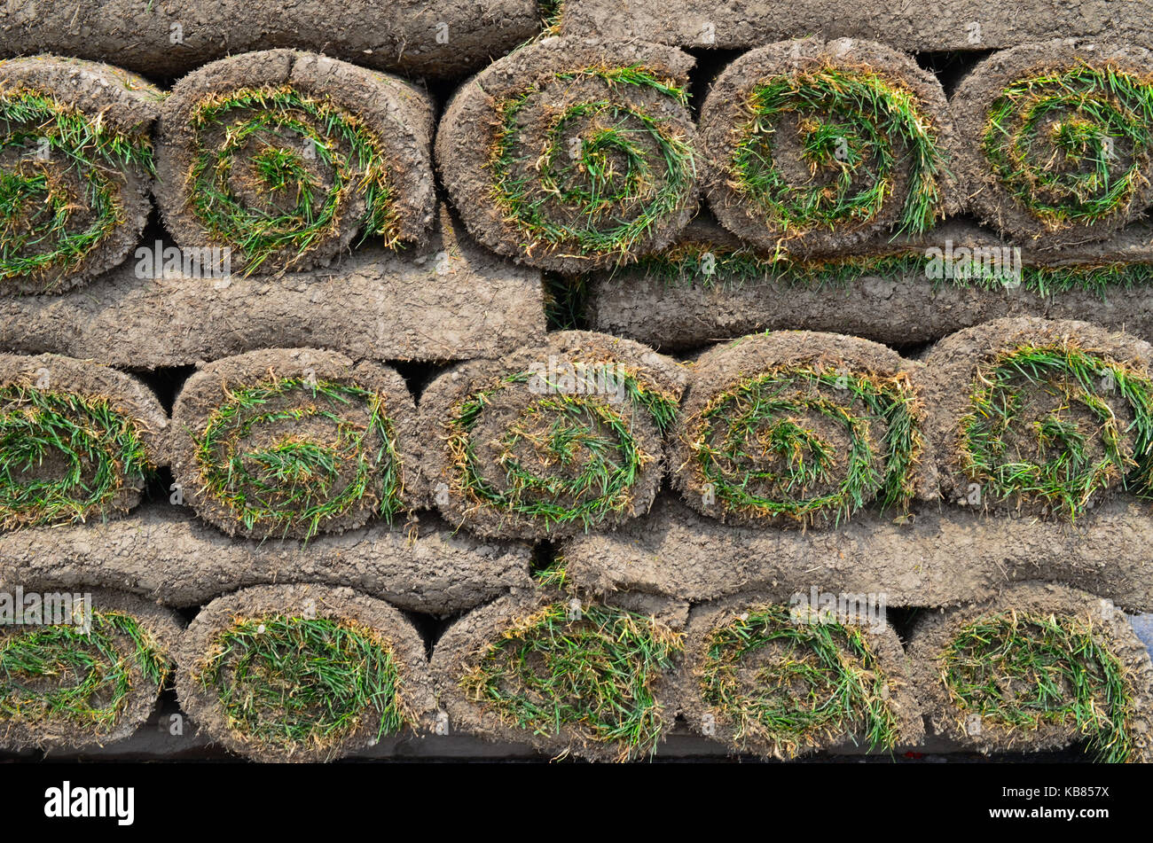 Layers of sod hi-res stock photography and images - Alamy