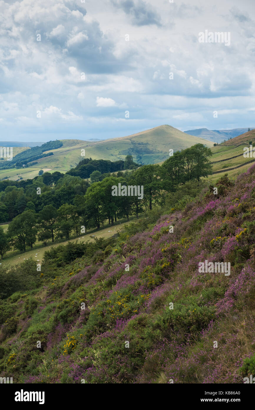 Win hill heather hi-res stock photography and images - Alamy