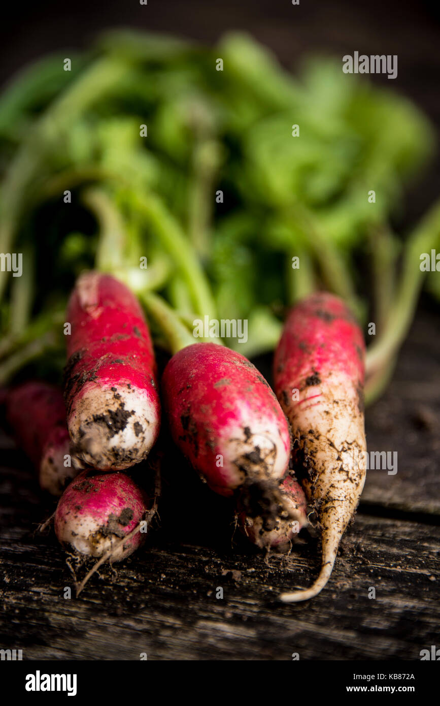 Freshly picked radishes on a wooden Background, UK Stock Photo - Alamy