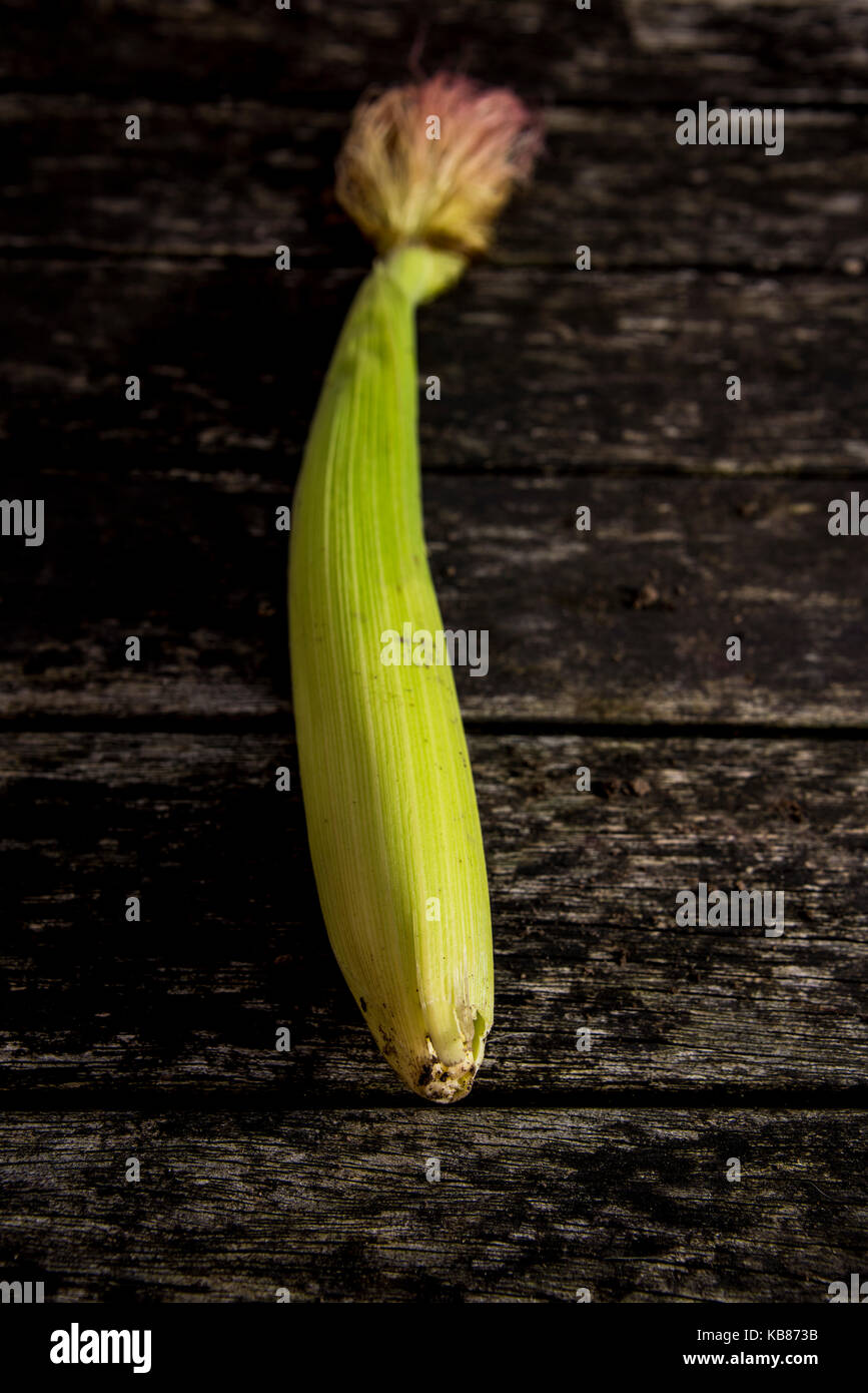 Freshly picked corn, Oxford, UK Stock Photo - Alamy