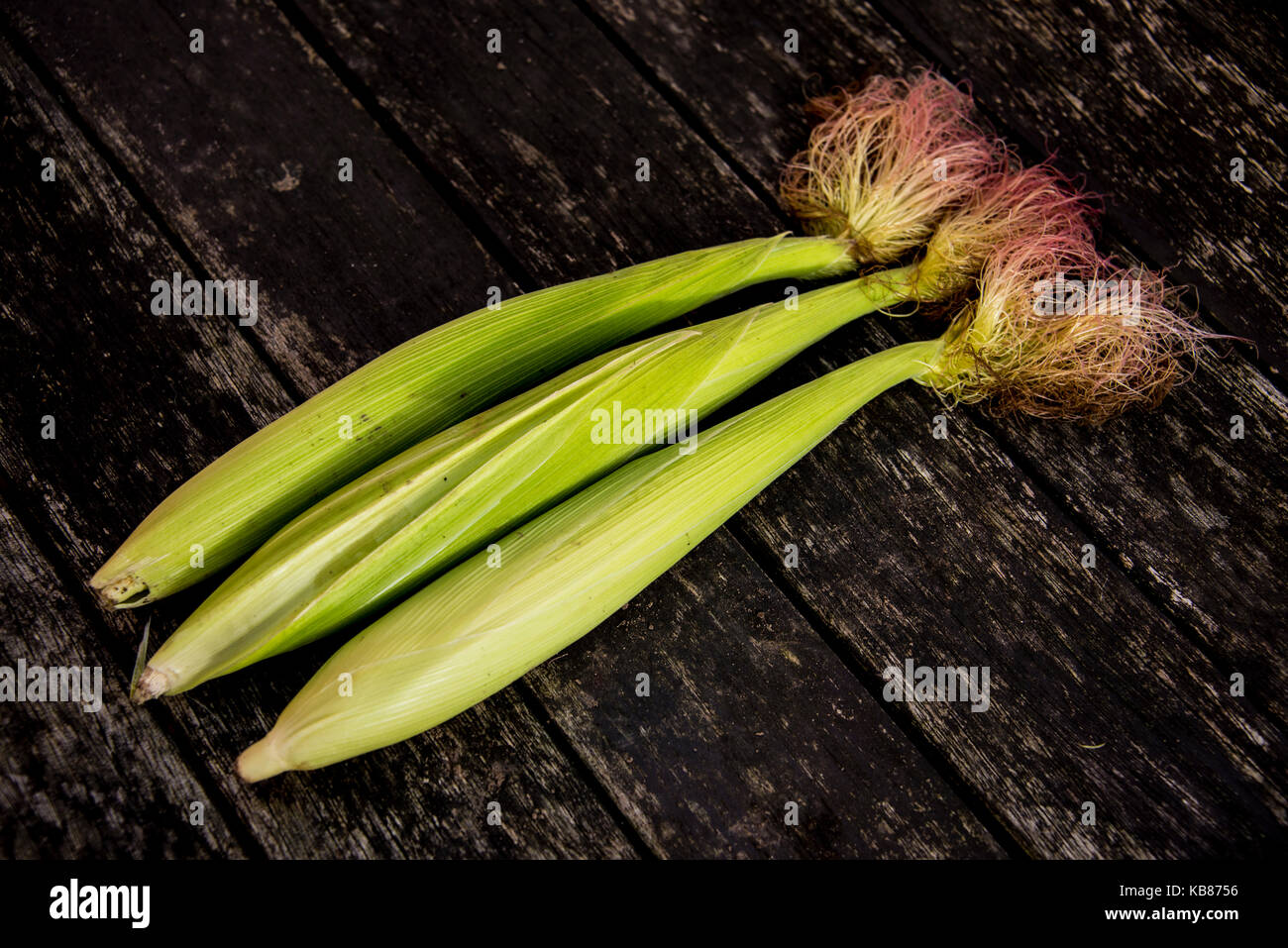 Freshly picked corn, Oxford, UK Stock Photo - Alamy