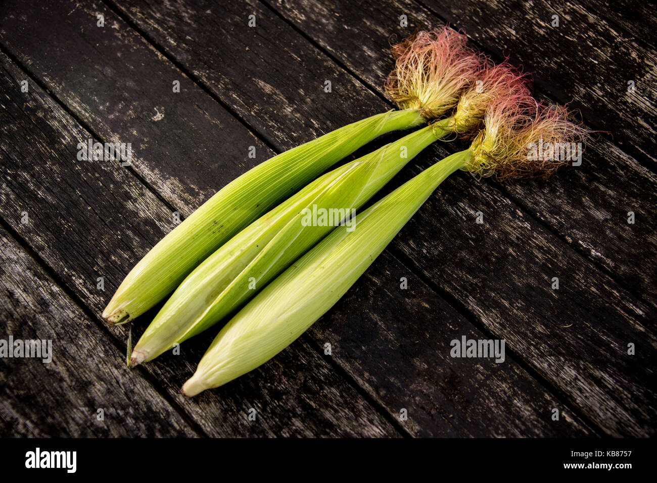 Freshly picked corn, Oxford, UK Stock Photo - Alamy