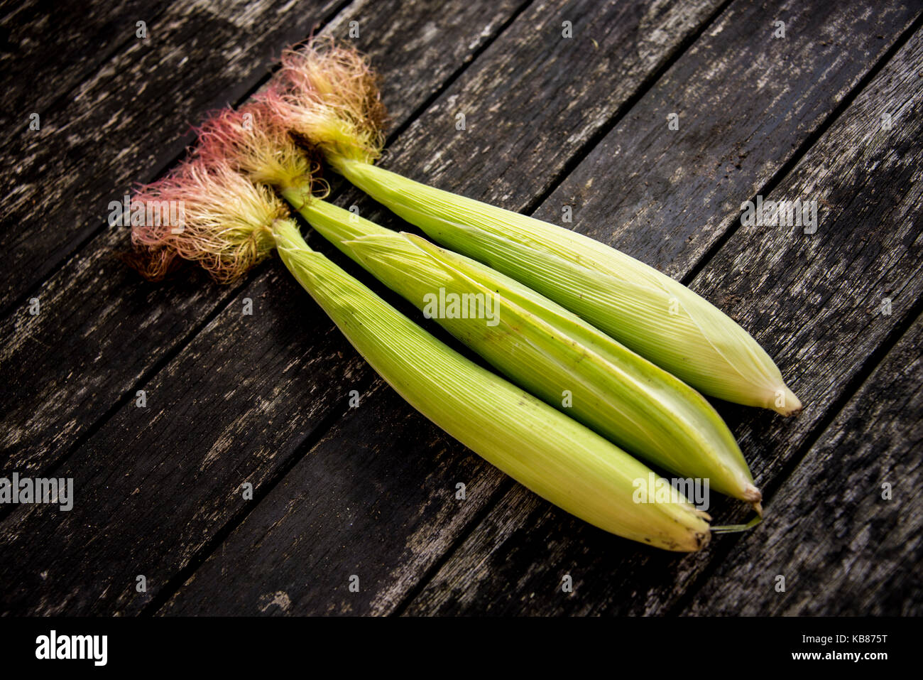 Freshly picked corn, Oxford, UK Stock Photo - Alamy