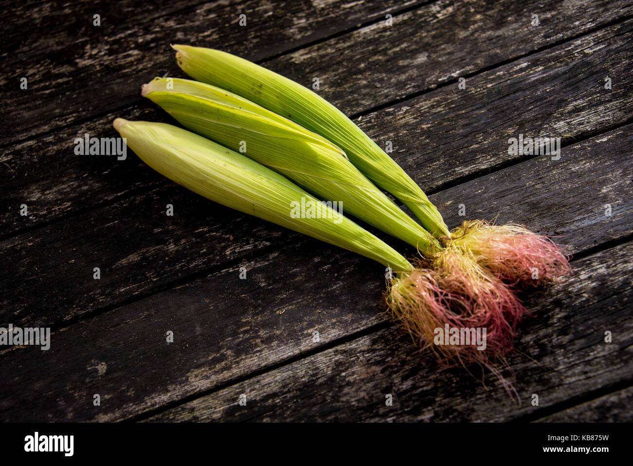 Freshly picked corn, Oxford, UK Stock Photo - Alamy