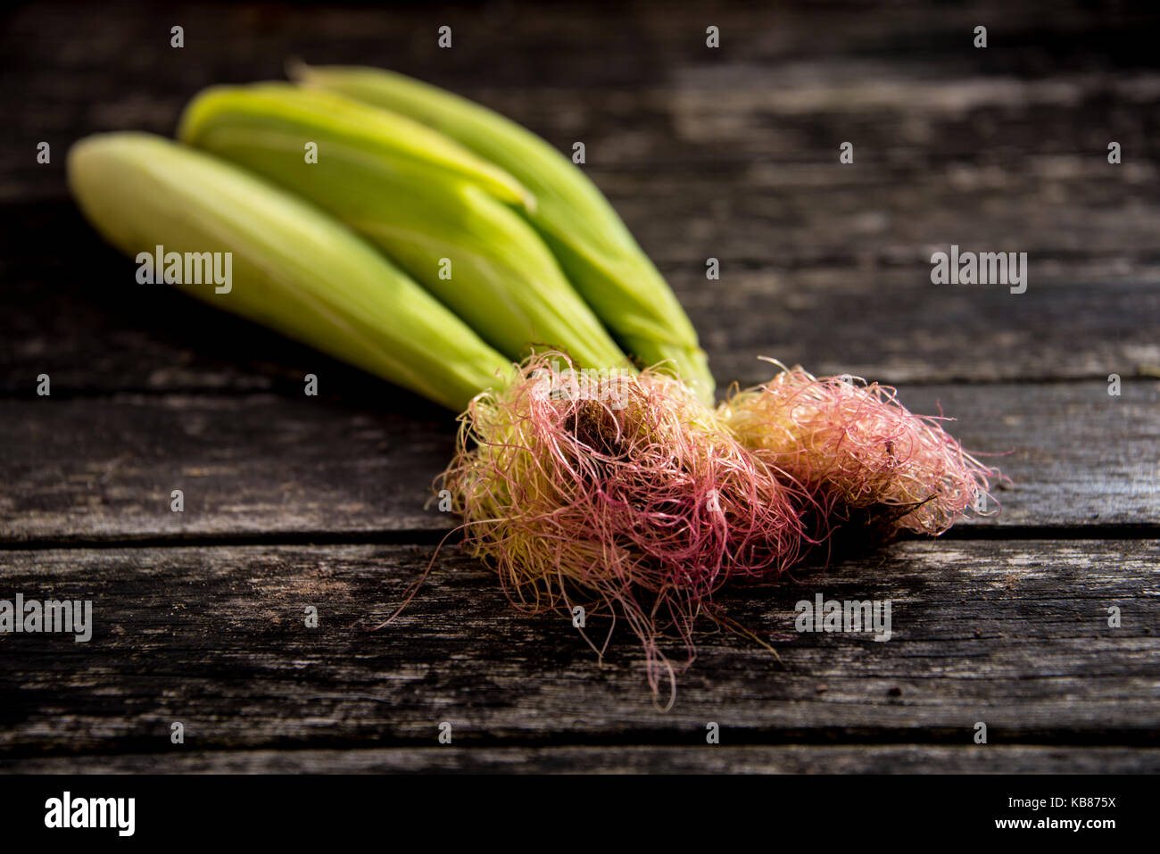 Freshly picked corn, Oxford, UK Stock Photo - Alamy