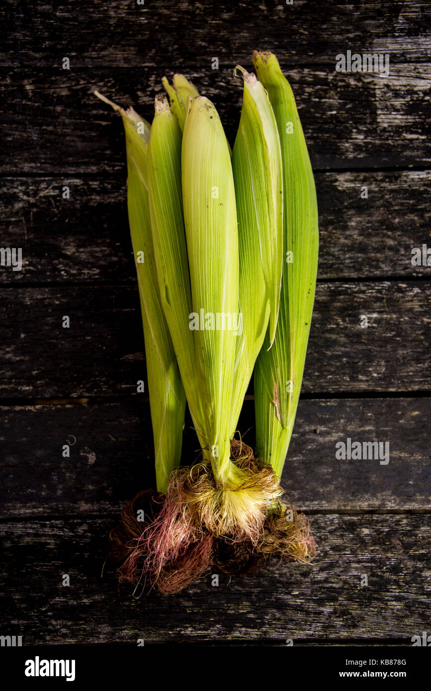 Freshly picked corn, Oxford, UK Stock Photo - Alamy