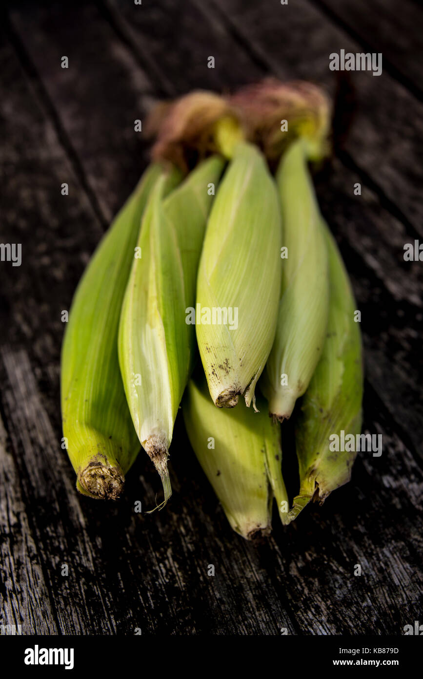 Freshly picked corn, Oxford, UK Stock Photo - Alamy