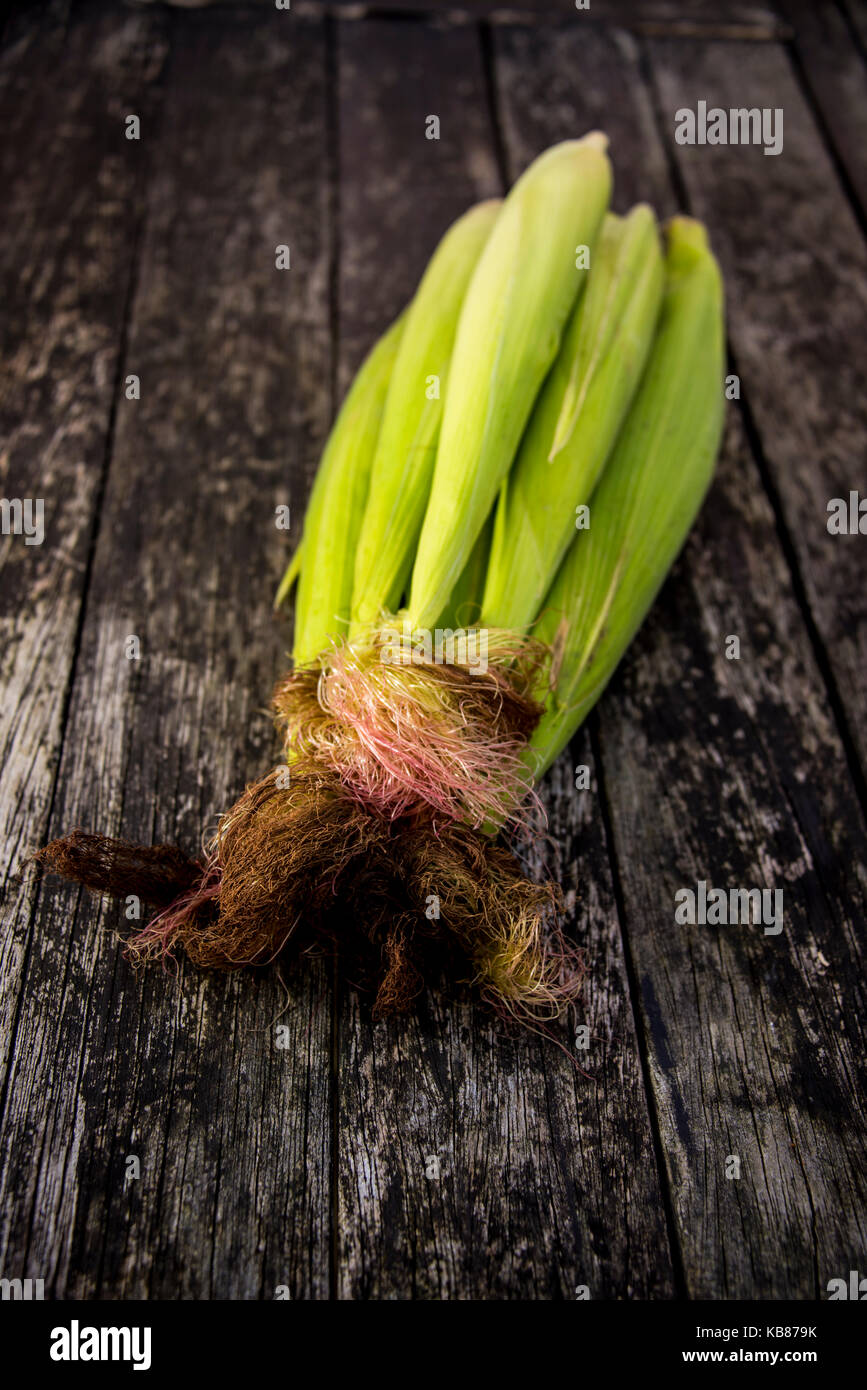 Freshly picked corn, Oxford, UK Stock Photo - Alamy
