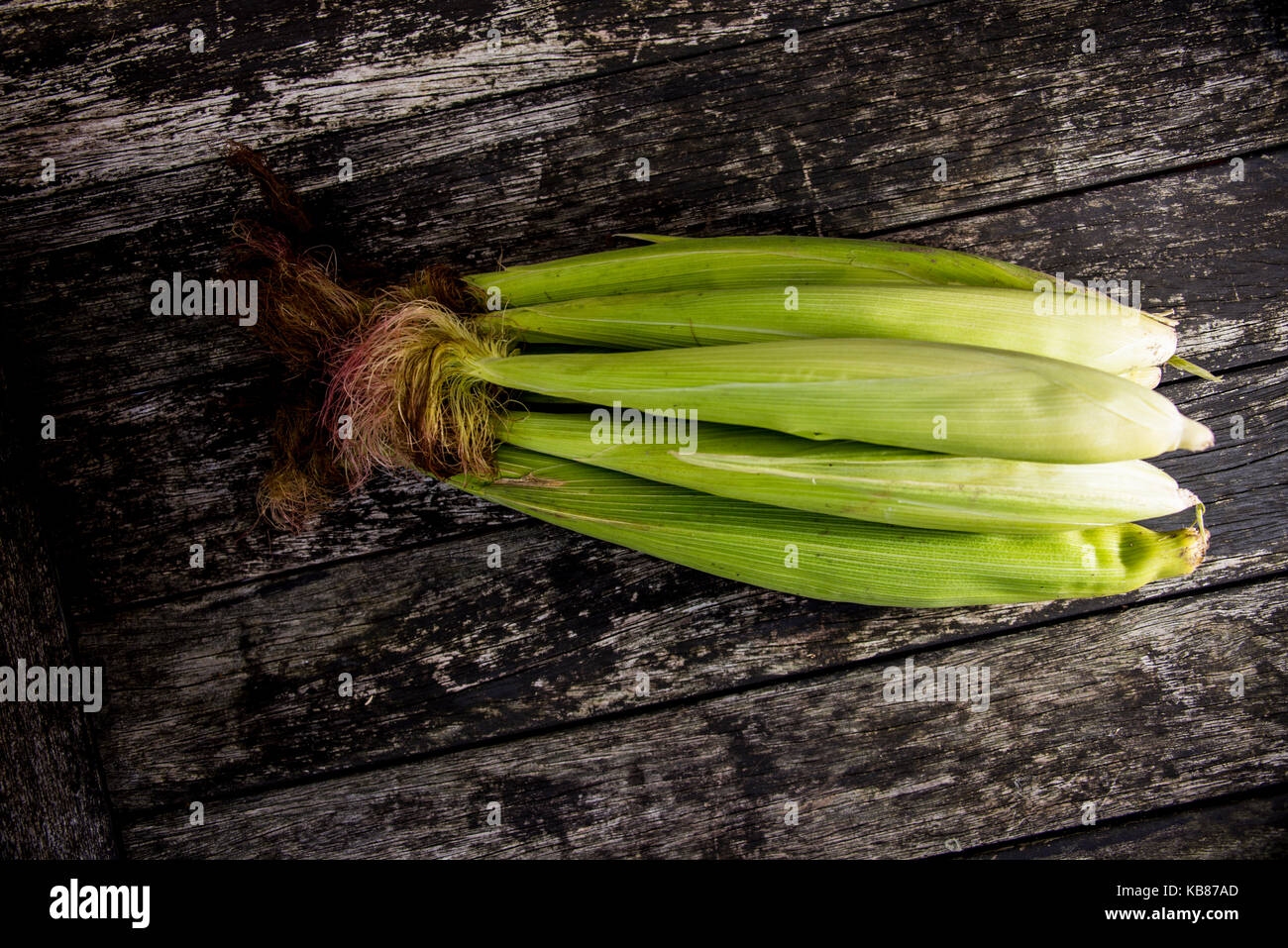 Freshly picked corn, Oxford, UK Stock Photo - Alamy