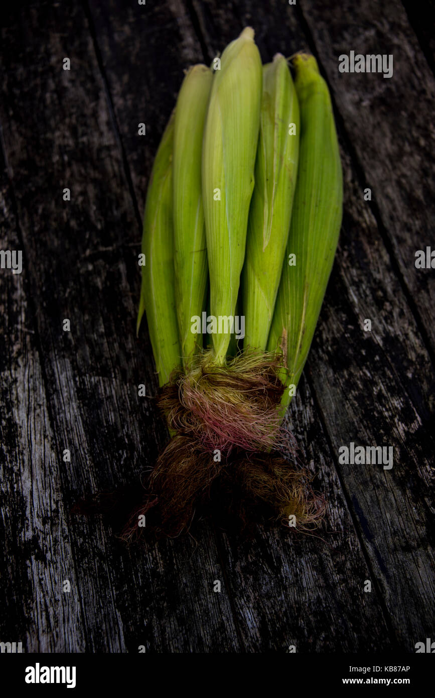 Freshly picked corn, Oxford, UK Stock Photo - Alamy