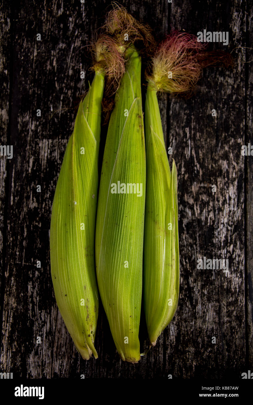 Freshly picked corn, Oxford, UK Stock Photo - Alamy