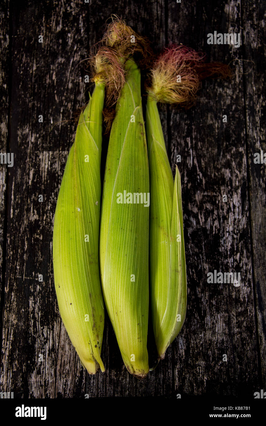Freshly picked corn, Oxford, UK Stock Photo - Alamy