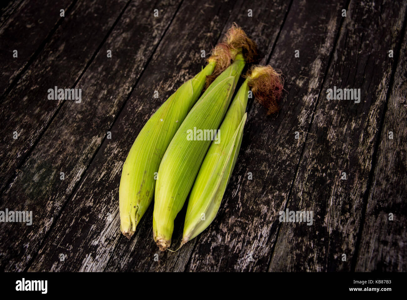 Freshly picked corn, Oxford, UK Stock Photo - Alamy