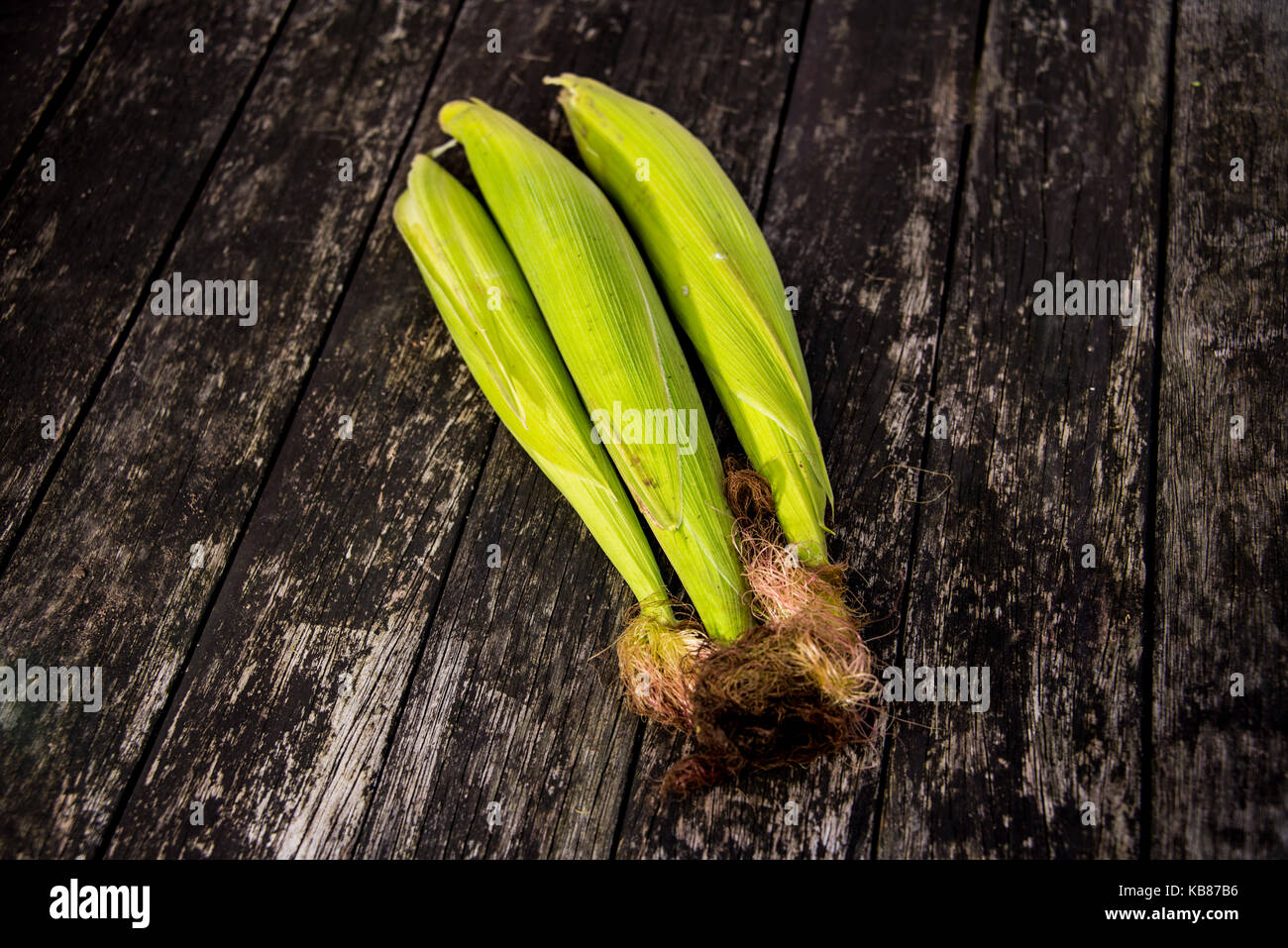 Freshly picked corn, Oxford, UK Stock Photo - Alamy