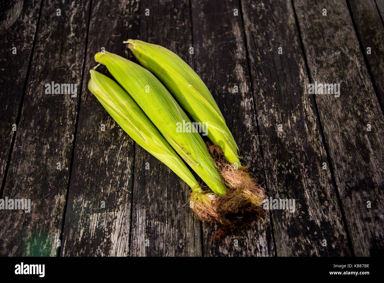 Freshly picked corn, Oxford, UK Stock Photo - Alamy