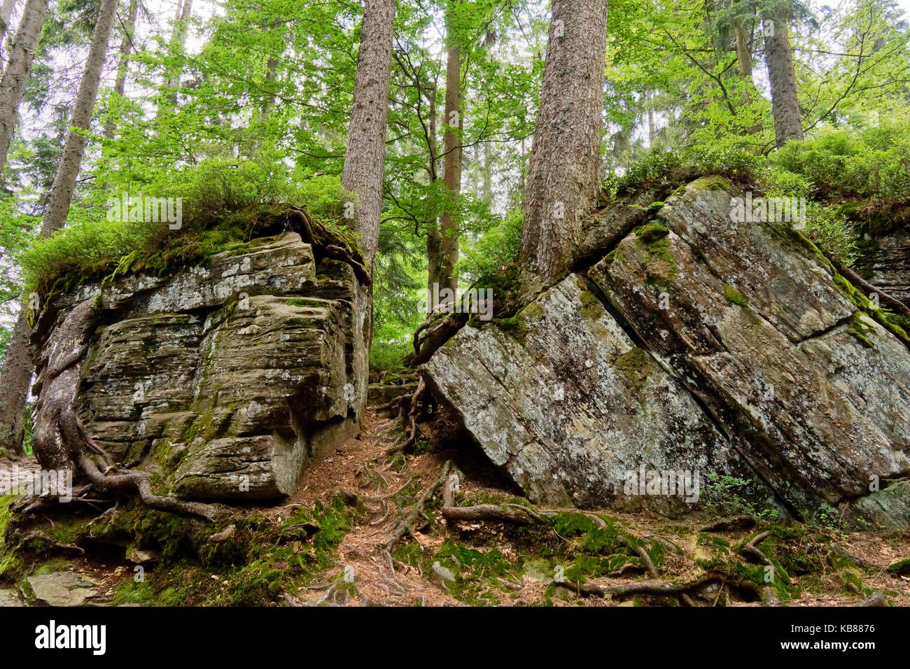 Big rocks with trees Stock Photo - Alamy