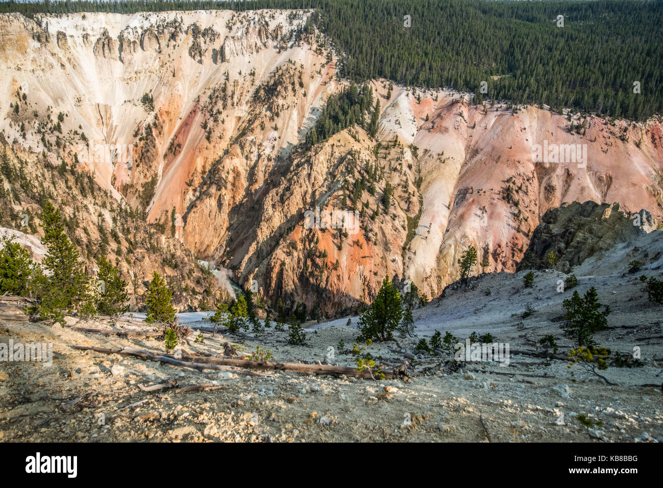 Yellowstone Canyon and fumarole steam vents overlooking the Yellowstone ...