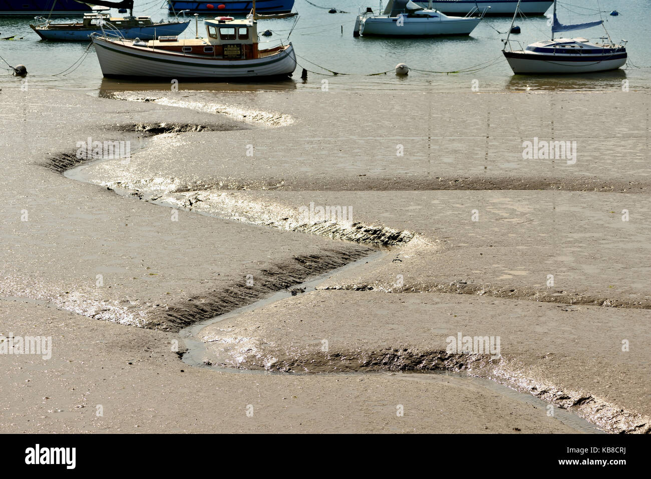 Drainage channels in the estuary mud at low tide Stock Photo - Alamy