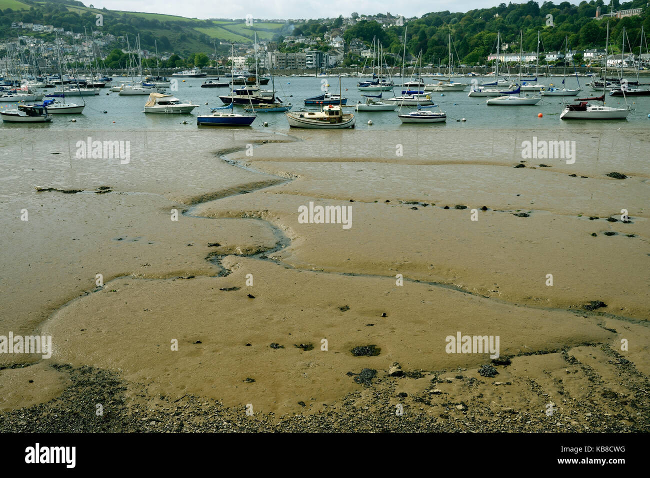 Drainage channels in the estuary mud at low tide, looking across the ...