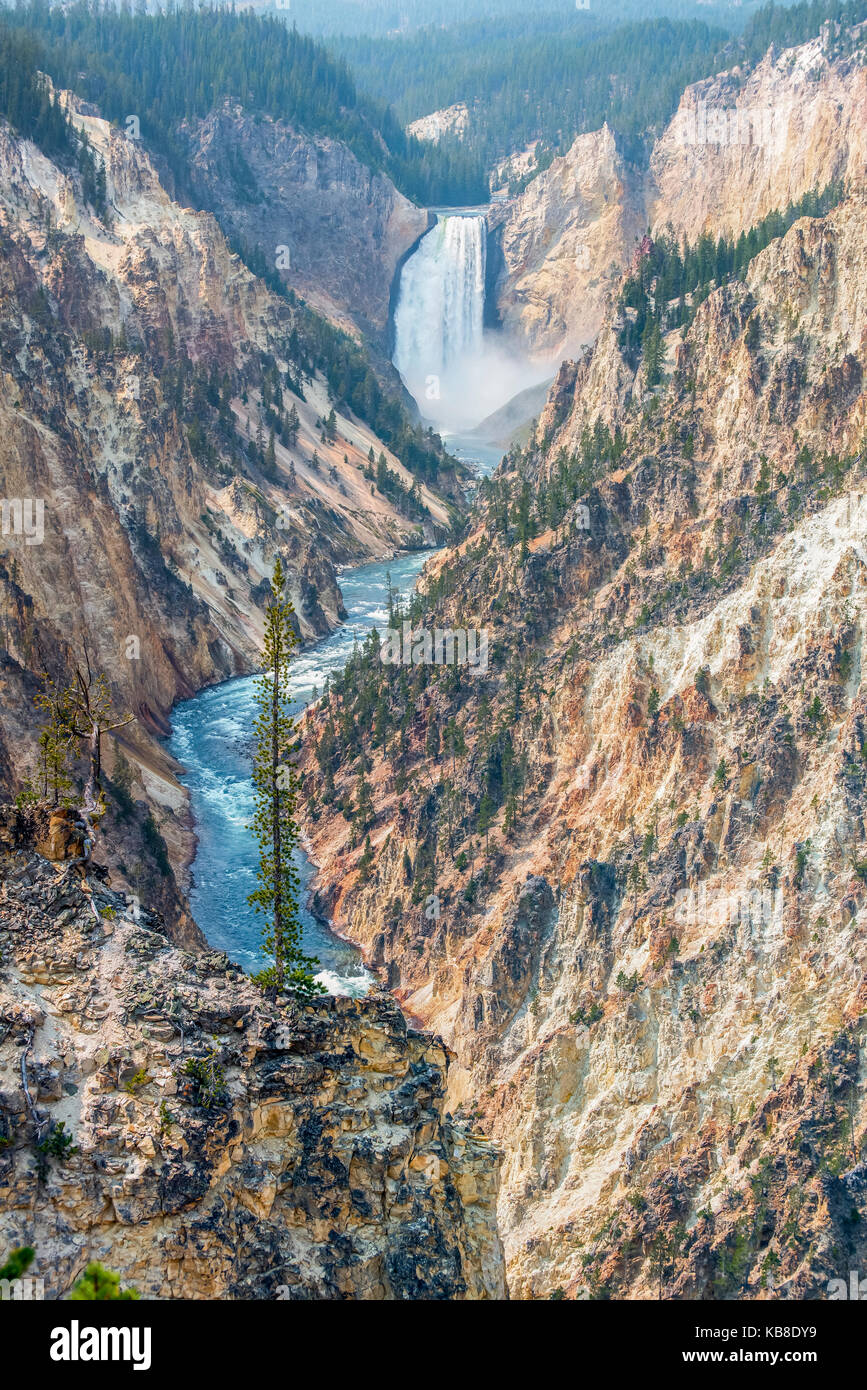 Yellowstone Canyon and Lower Waterfall with the Yellowstone River from ...