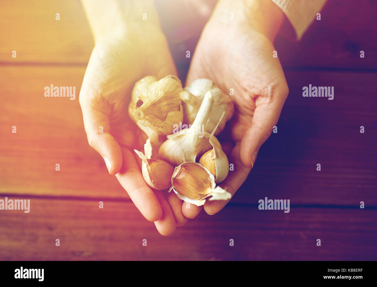 woman hands holding garlic Stock Photo - Alamy