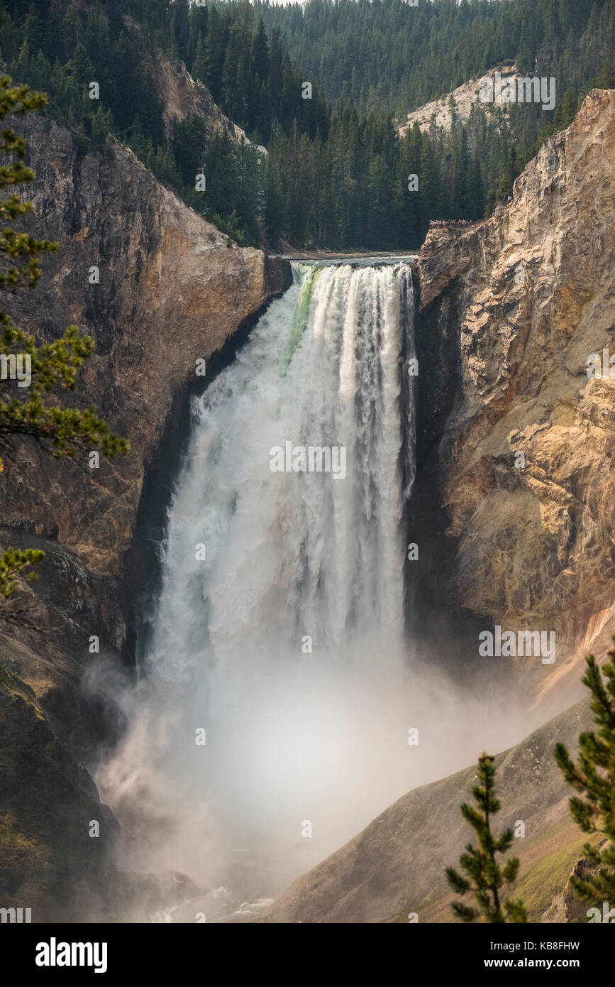 Yellowstone Canyon and Lower Waterfall with the Yellowstone River from ...