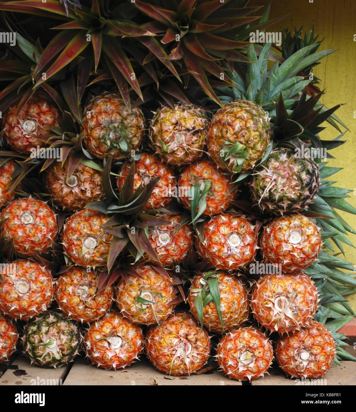 Farnstand hi-res stock photography and images - Alamy