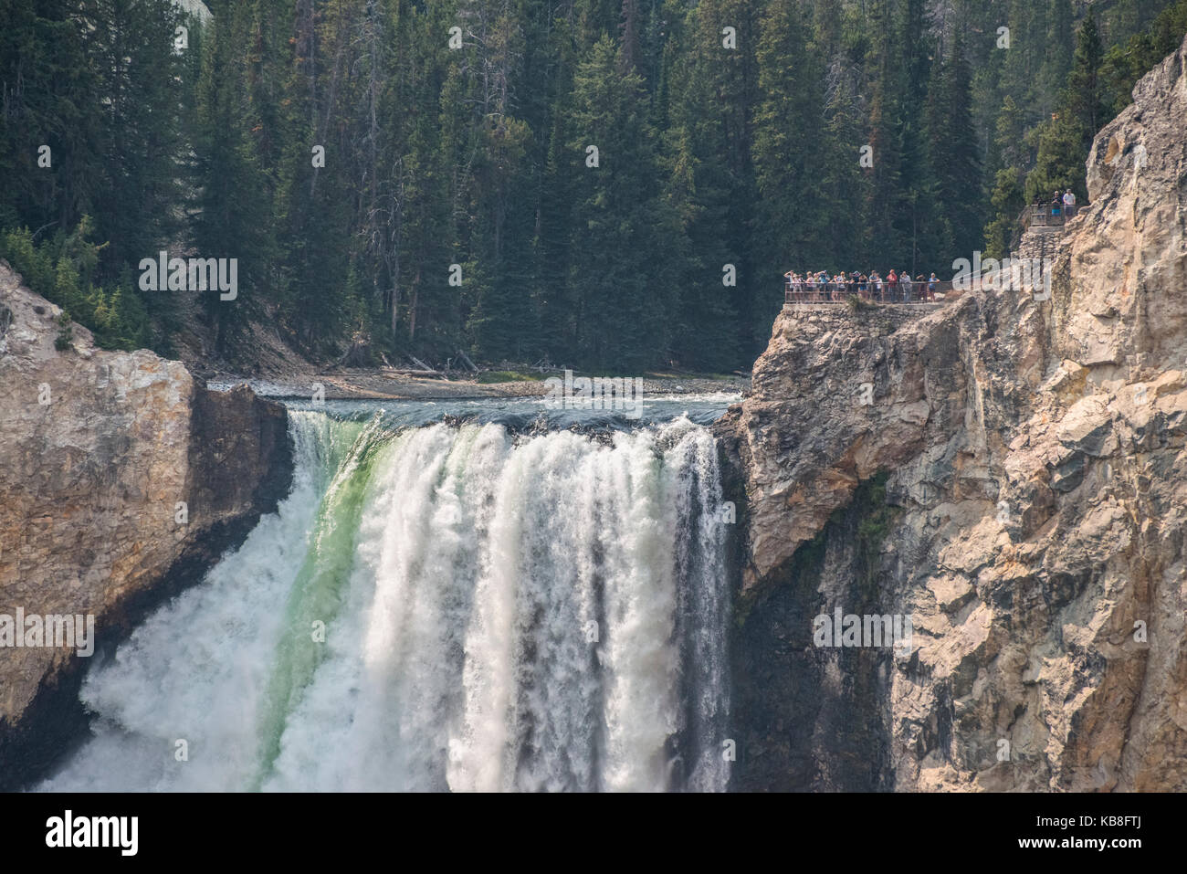 Yellowstone Canyon and Lower Waterfall with the Yellowstone River from ...