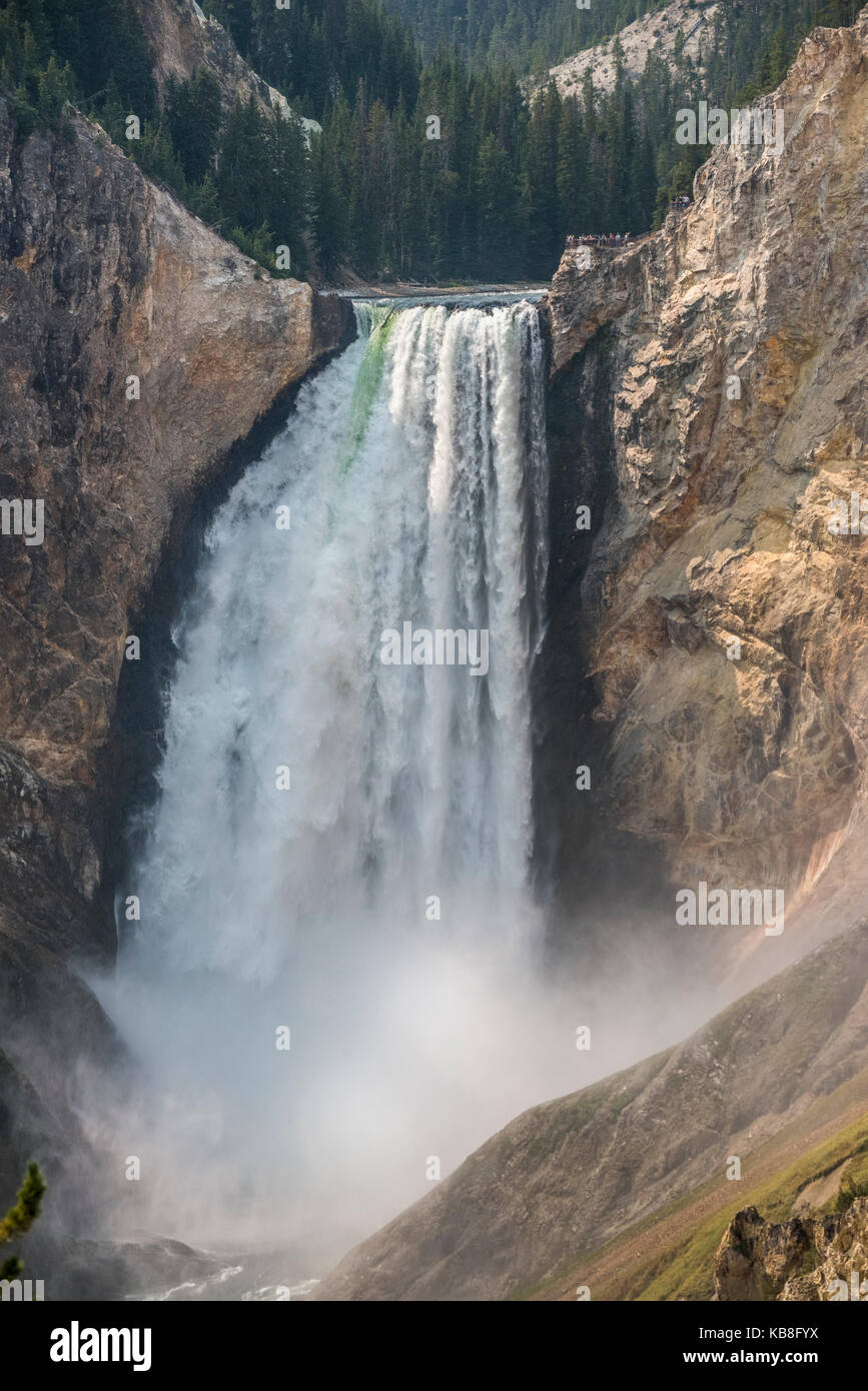 Yellowstone Canyon and Lower Waterfall with the Yellowstone River from ...