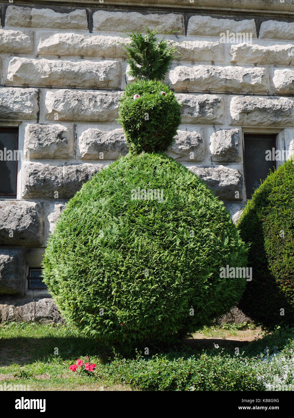 Bush of hair hi-res stock photography and images - Alamy