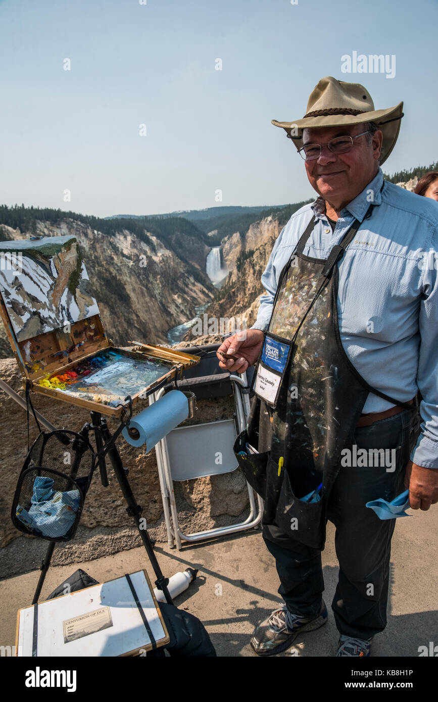 Yellowstone Canyon artist Dr Charley Causey at Artists View Stock Photo ...