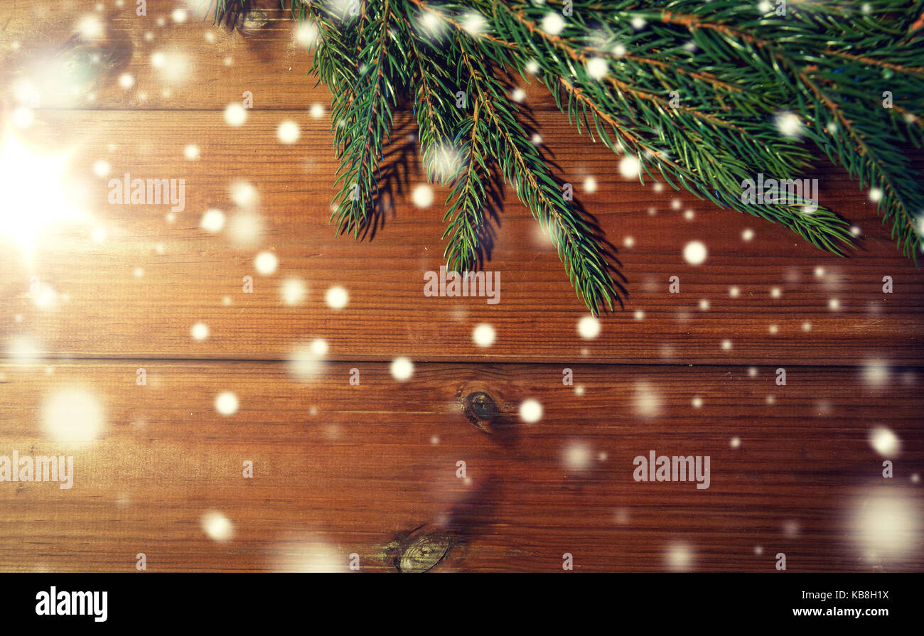 Blank branch hi-res stock photography and images - Alamy