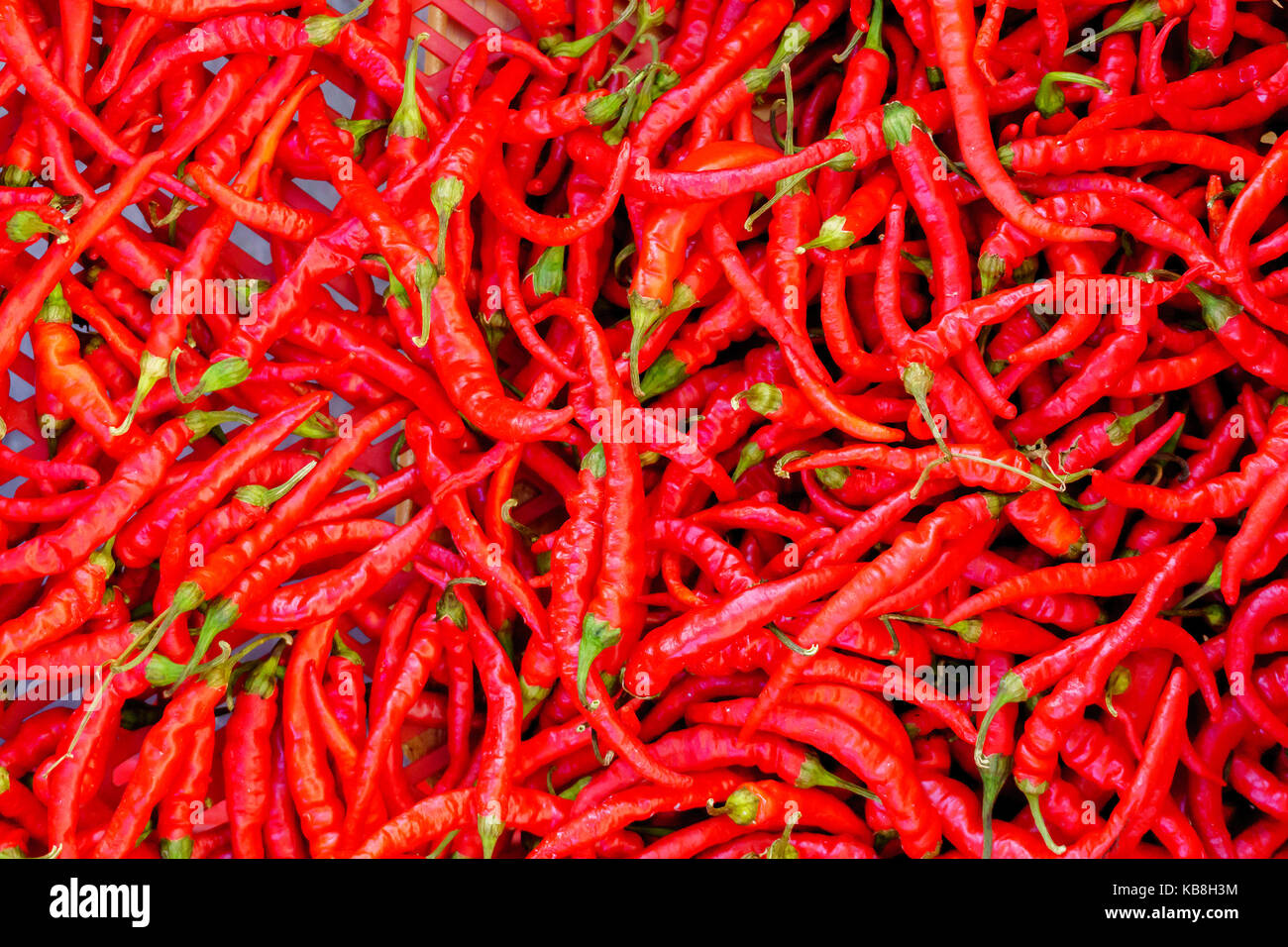 Red Chillies Background color image Stock Photo - Alamy