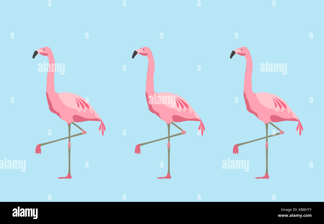 Flamingo cartoon illustration hi-res stock photography and images - Alamy