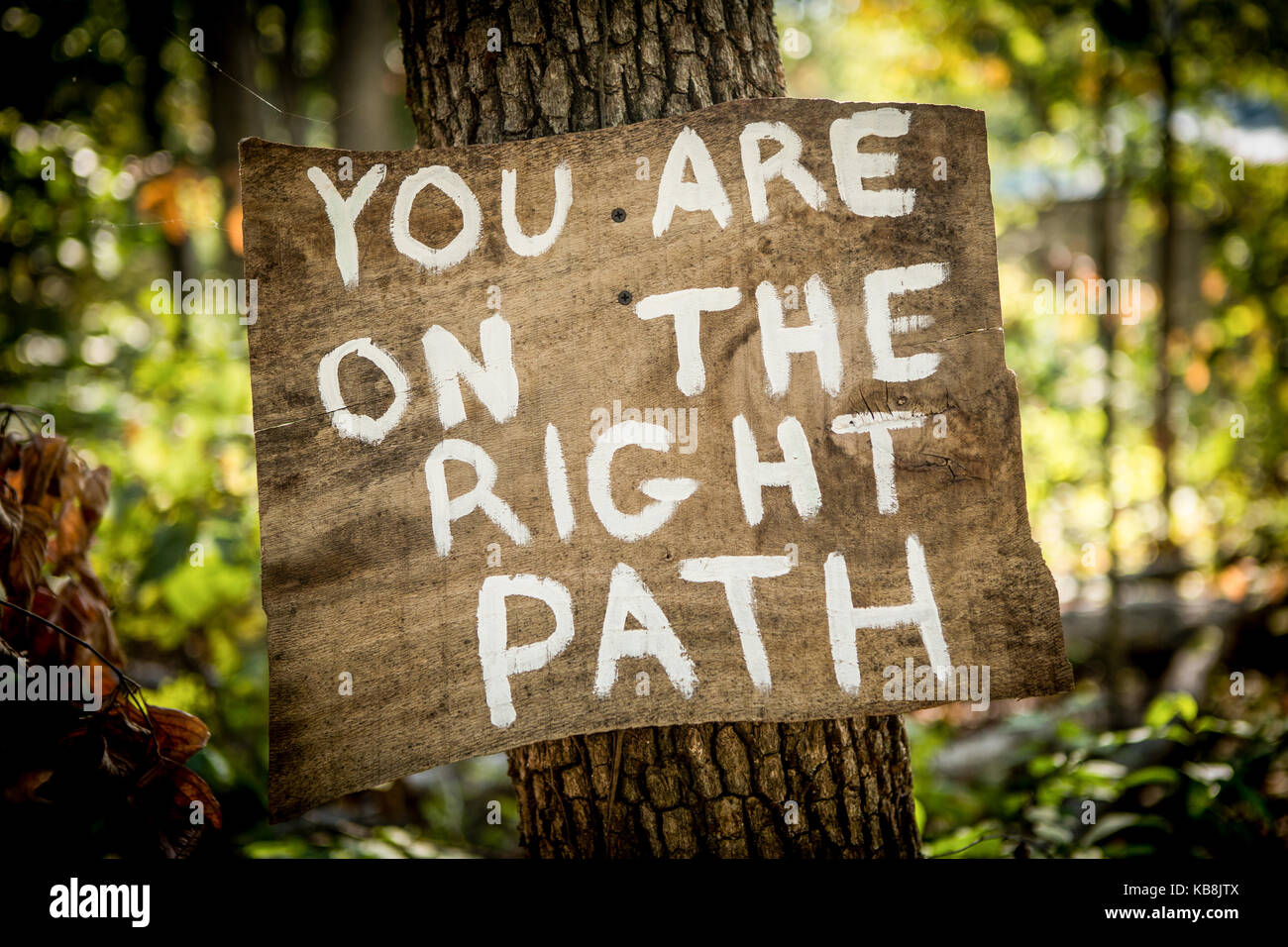 Homemade rustic wedding sign that says "You are on the right path ...