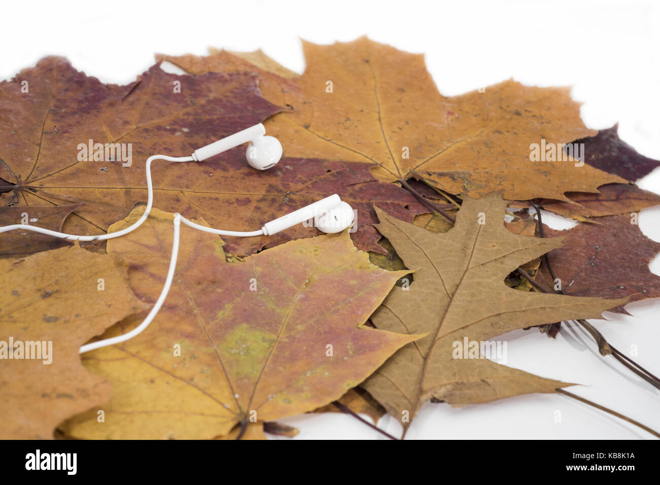 Music autumn abstraction. Autumn texture with white headphones Stock ...